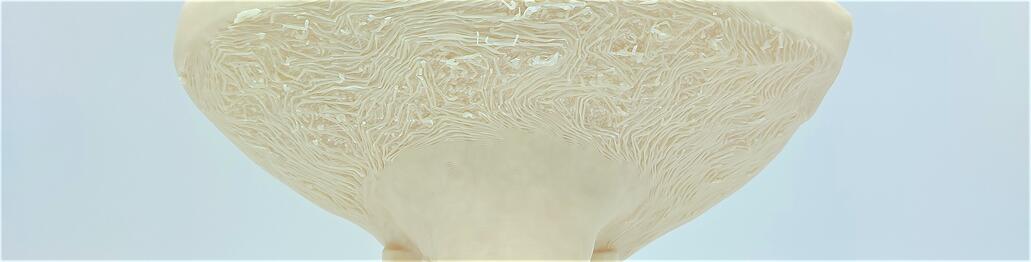 Using soluble 3D printer filament to build support structures